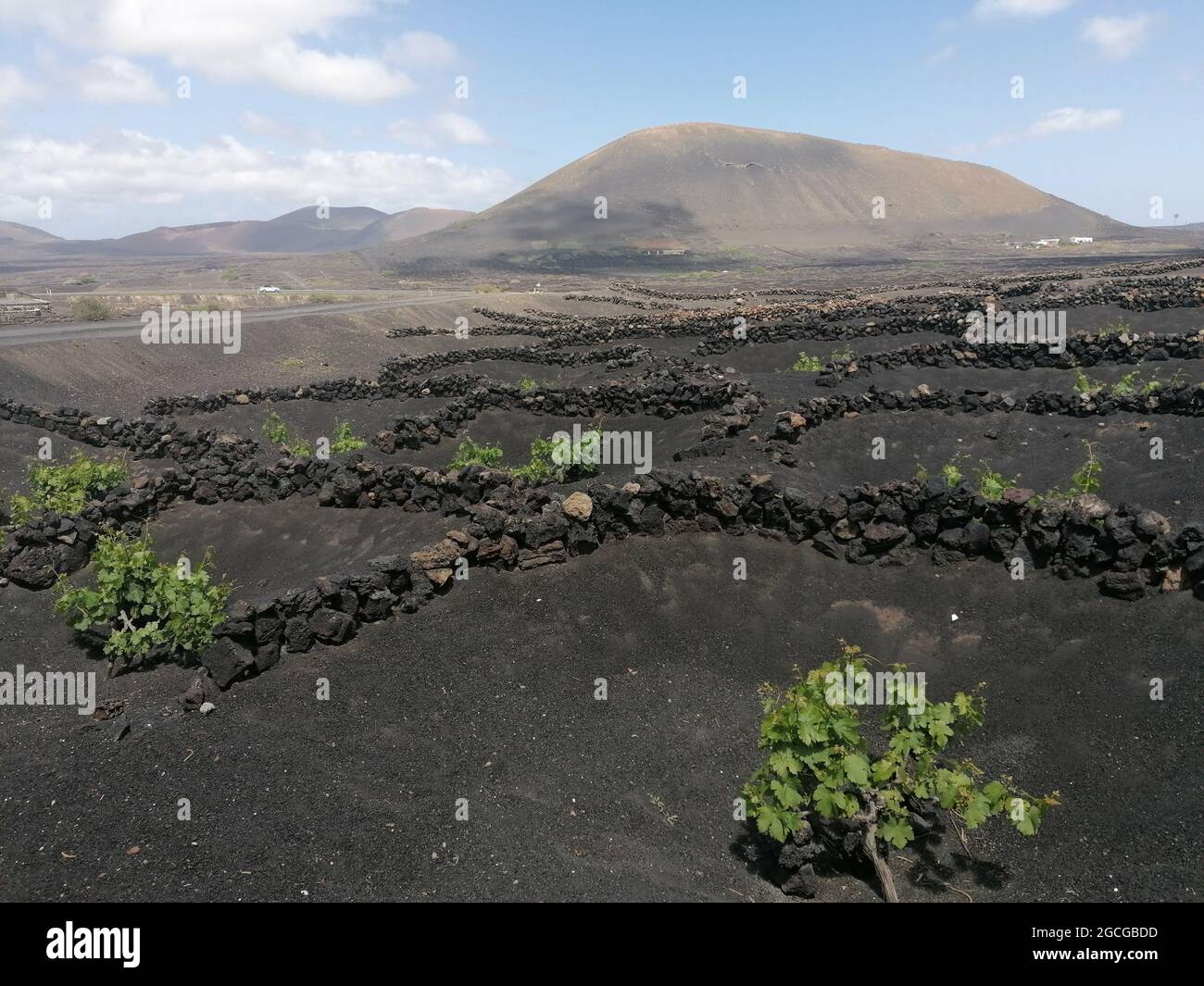 The farm lands in the mountains separated with stone stacks Stock Photo ...