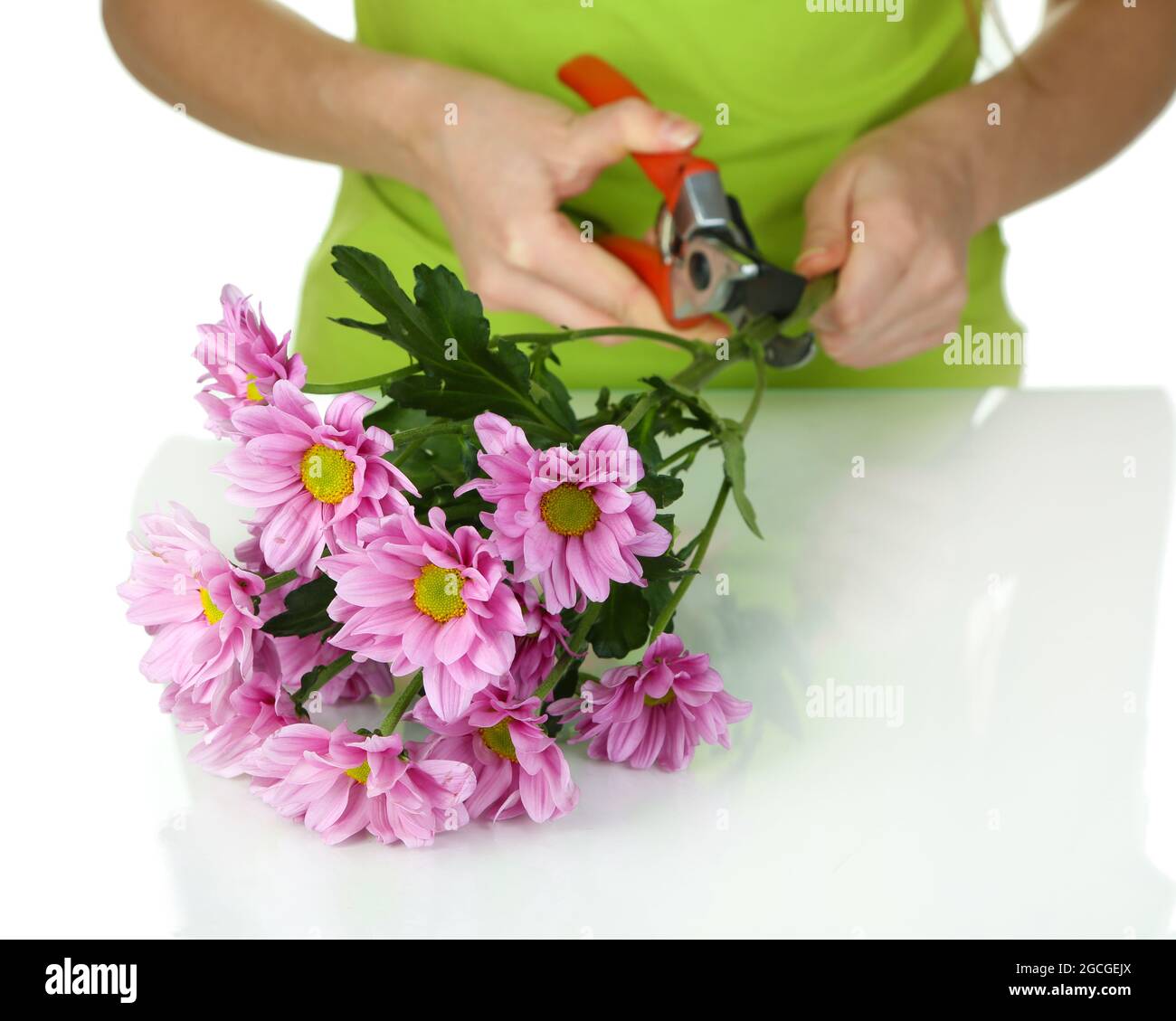 Florist shears cuts flowers isolated on white Stock Photo - Alamy