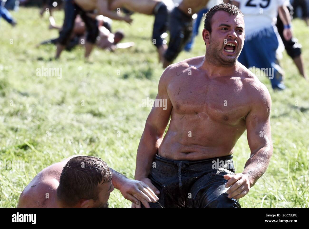 Kirkpinar Oil Wrestling Stock Photo - Alamy