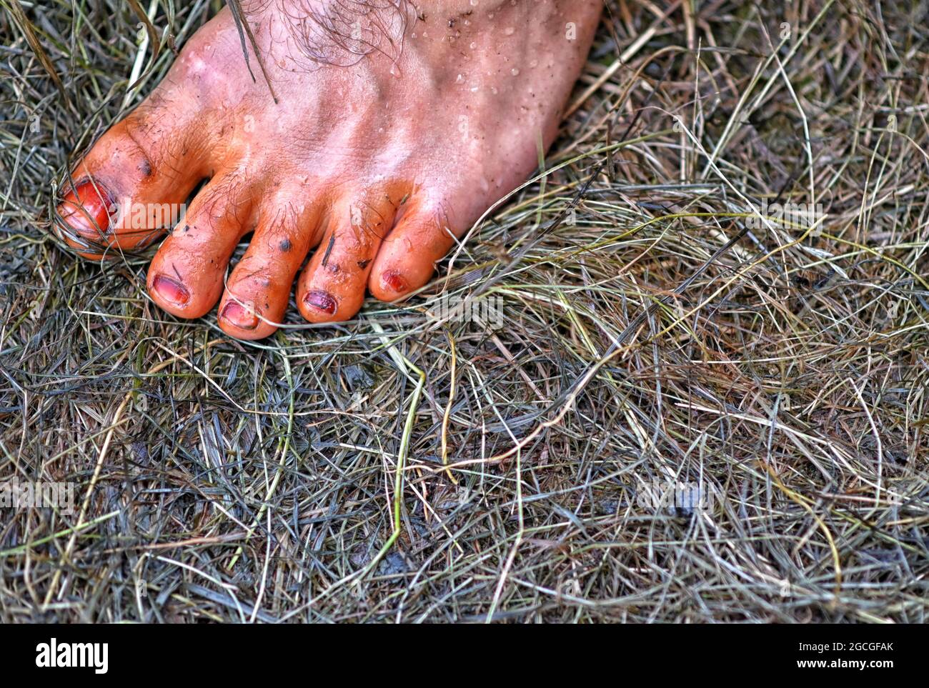 Kirkpinar Oil Wrestling Stock Photo - Alamy