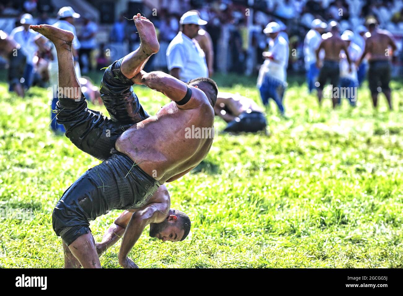 Kirkpinar Oil Wrestling Stock Photo - Alamy