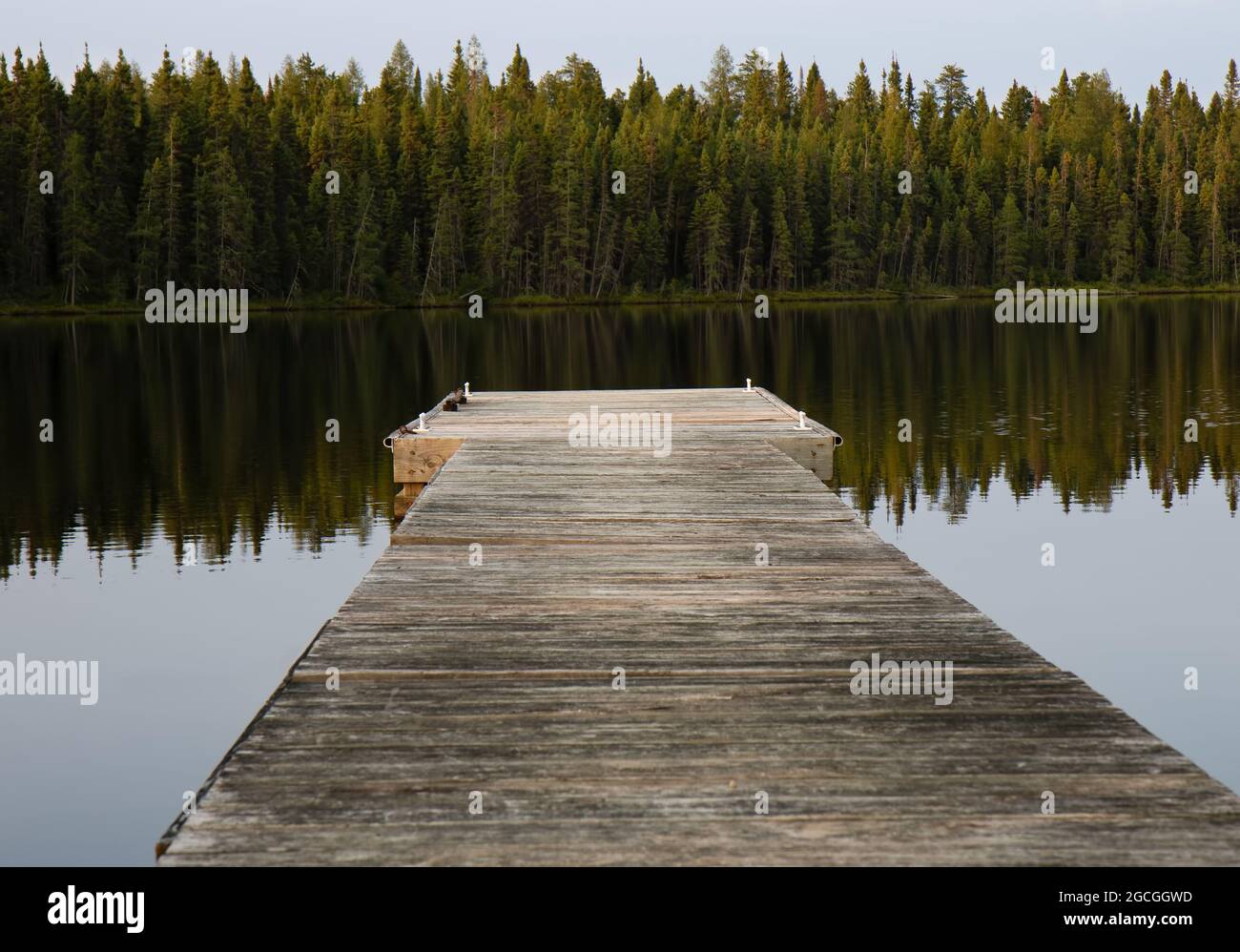 dock in lake water near forest Stock Photo - Alamy