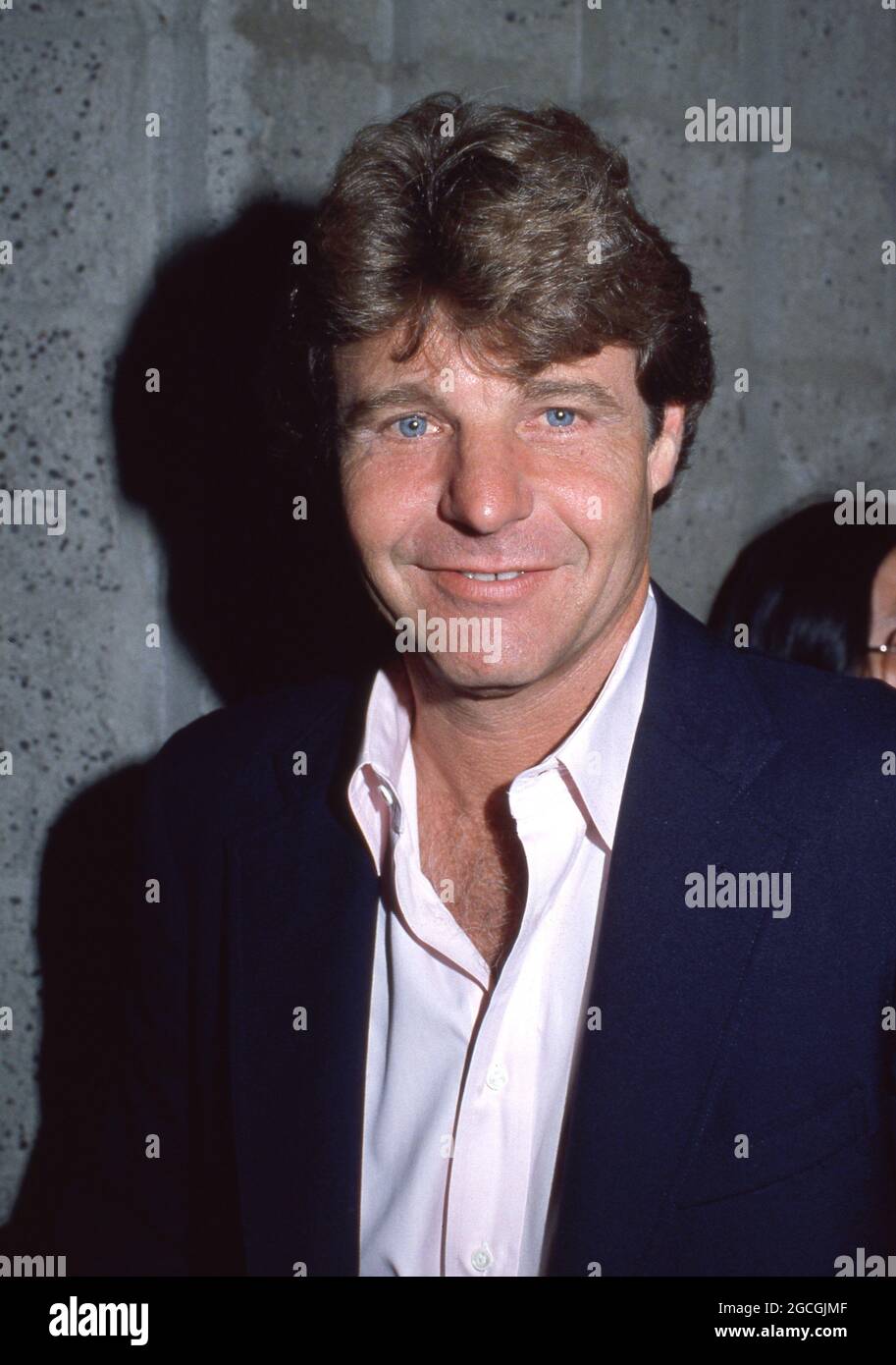 David Nelson Circa 1980's Credit: Ralph Dominguez/MediaPunch Stock ...