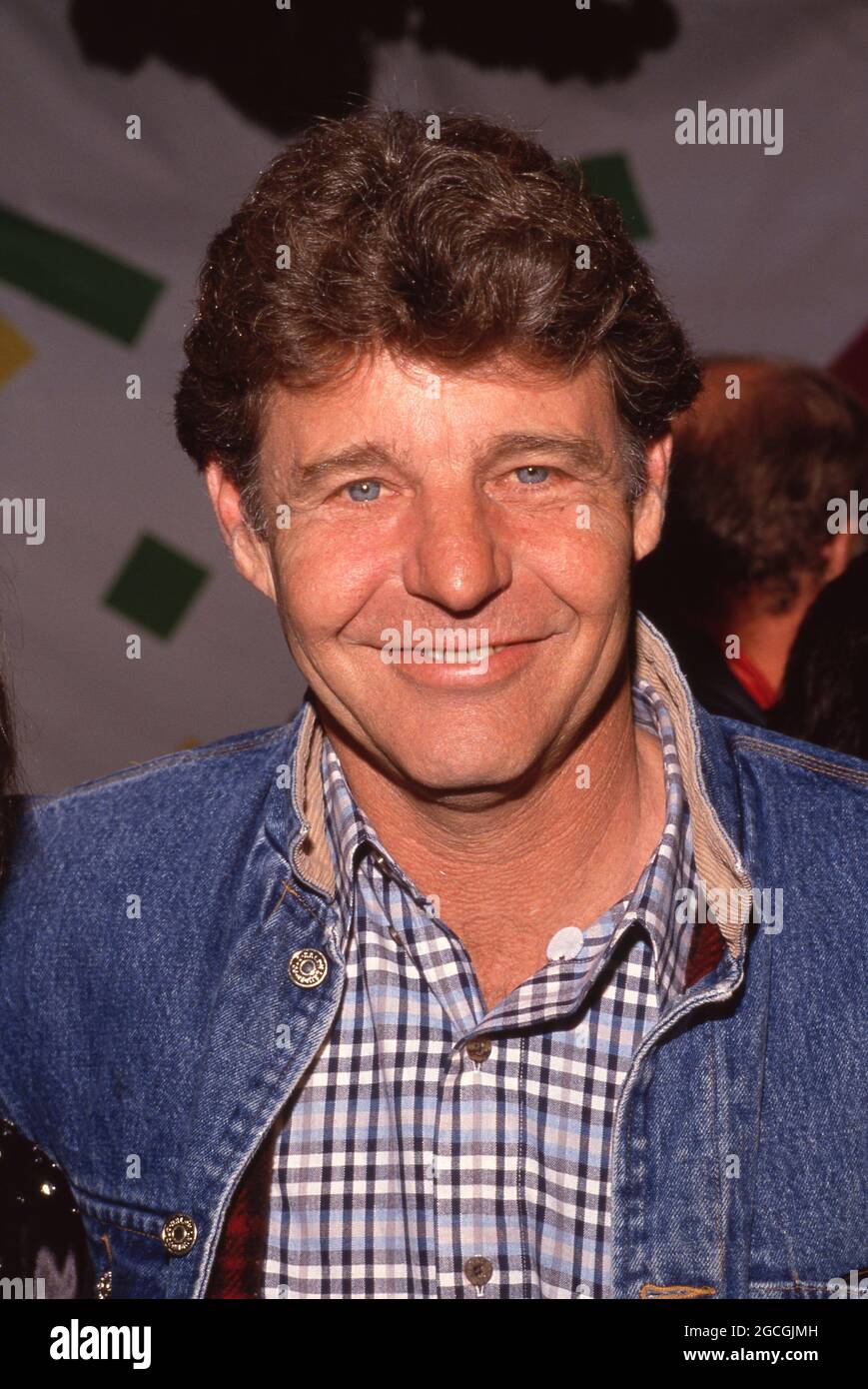 David Nelson Circa 1980's Credit: Ralph Dominguez/MediaPunch Stock Photo - Alamy