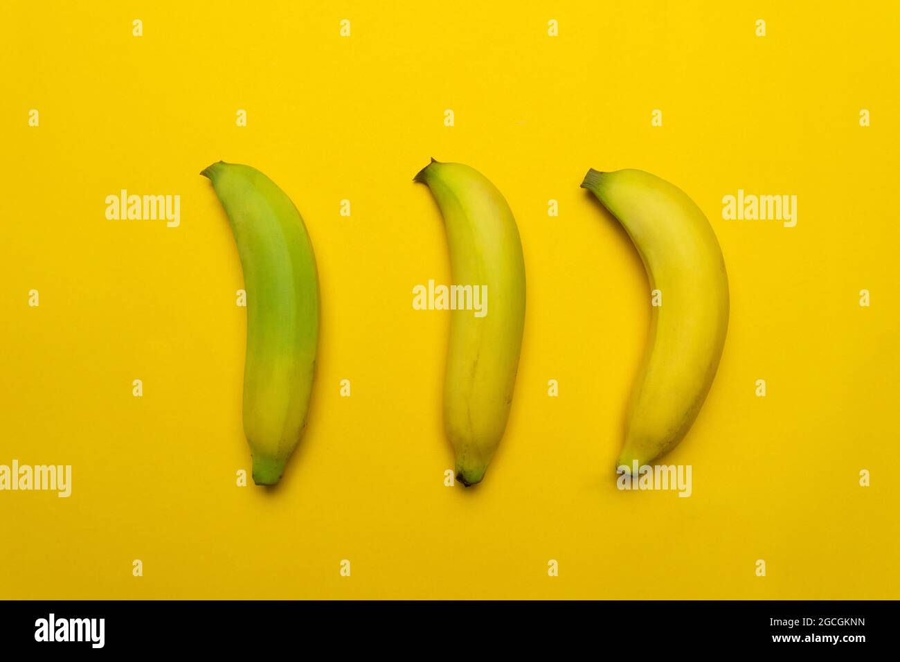colorful three green yellow banana in maturing process fruit food ...