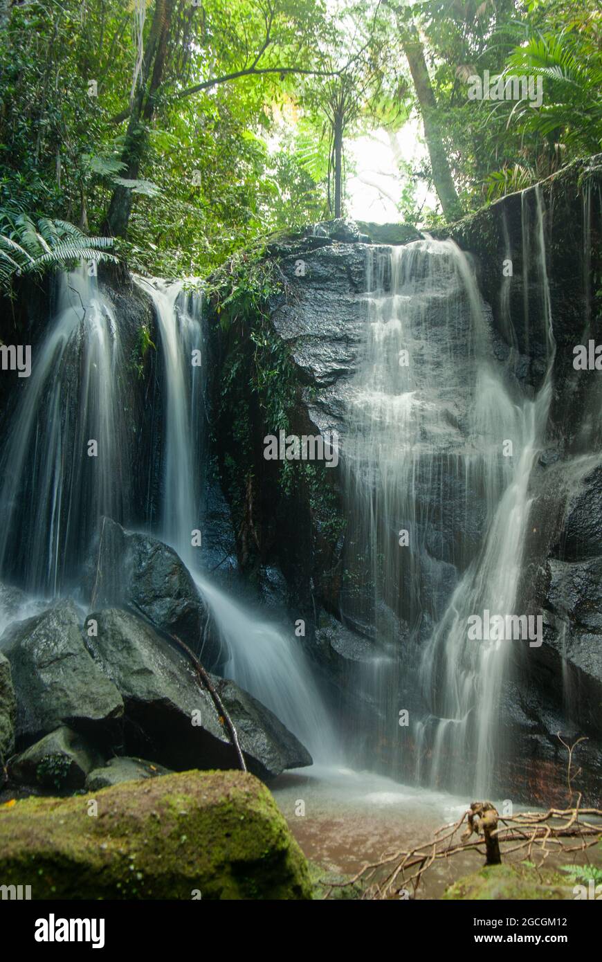 Vision Falls, Lake Eacham, Atherton Tablelands, Australia Stock Photo ...