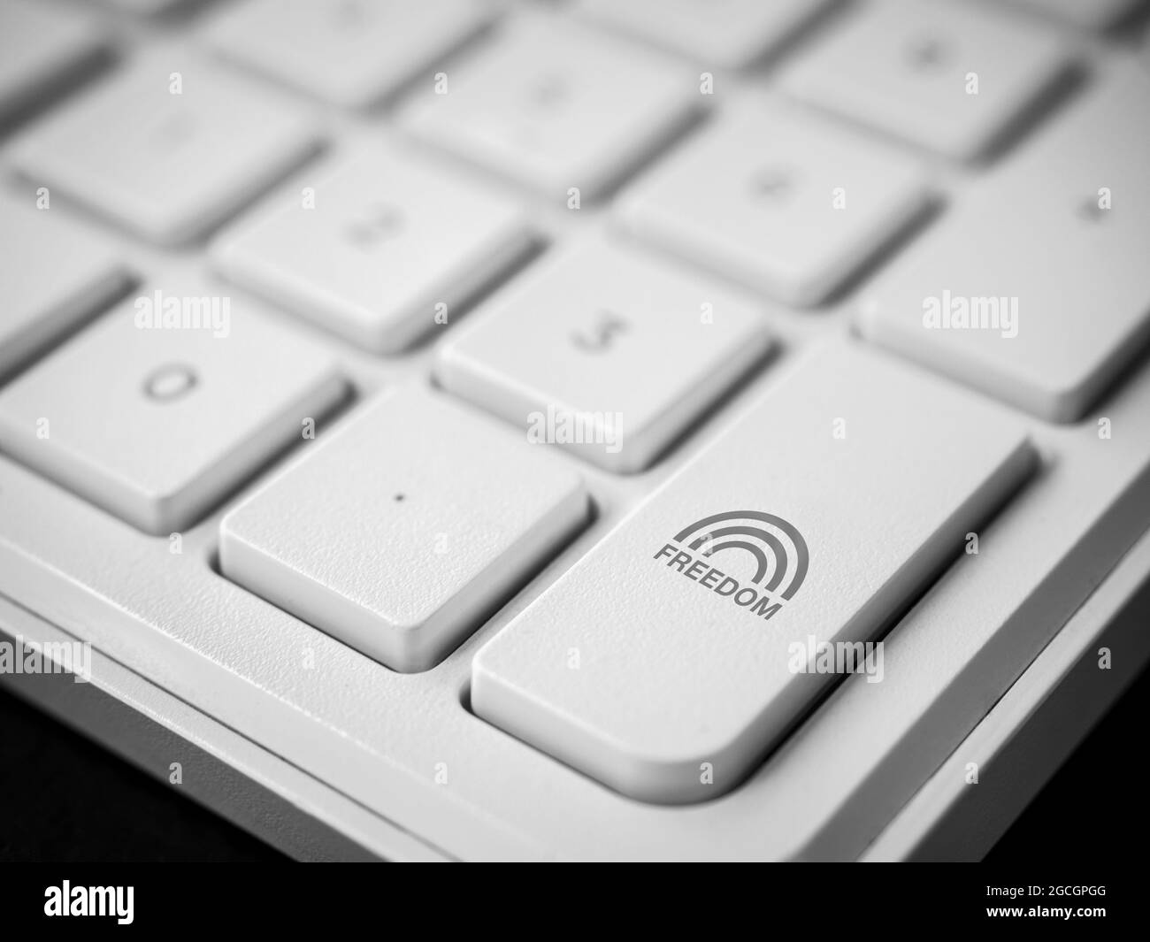 Rainbow icon with word "Freedom", grey color on big white button on the ...