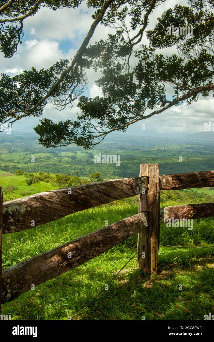 Millaa Millaa Lookout, Atherton Tablelands, Queensland, Australia Stock ...