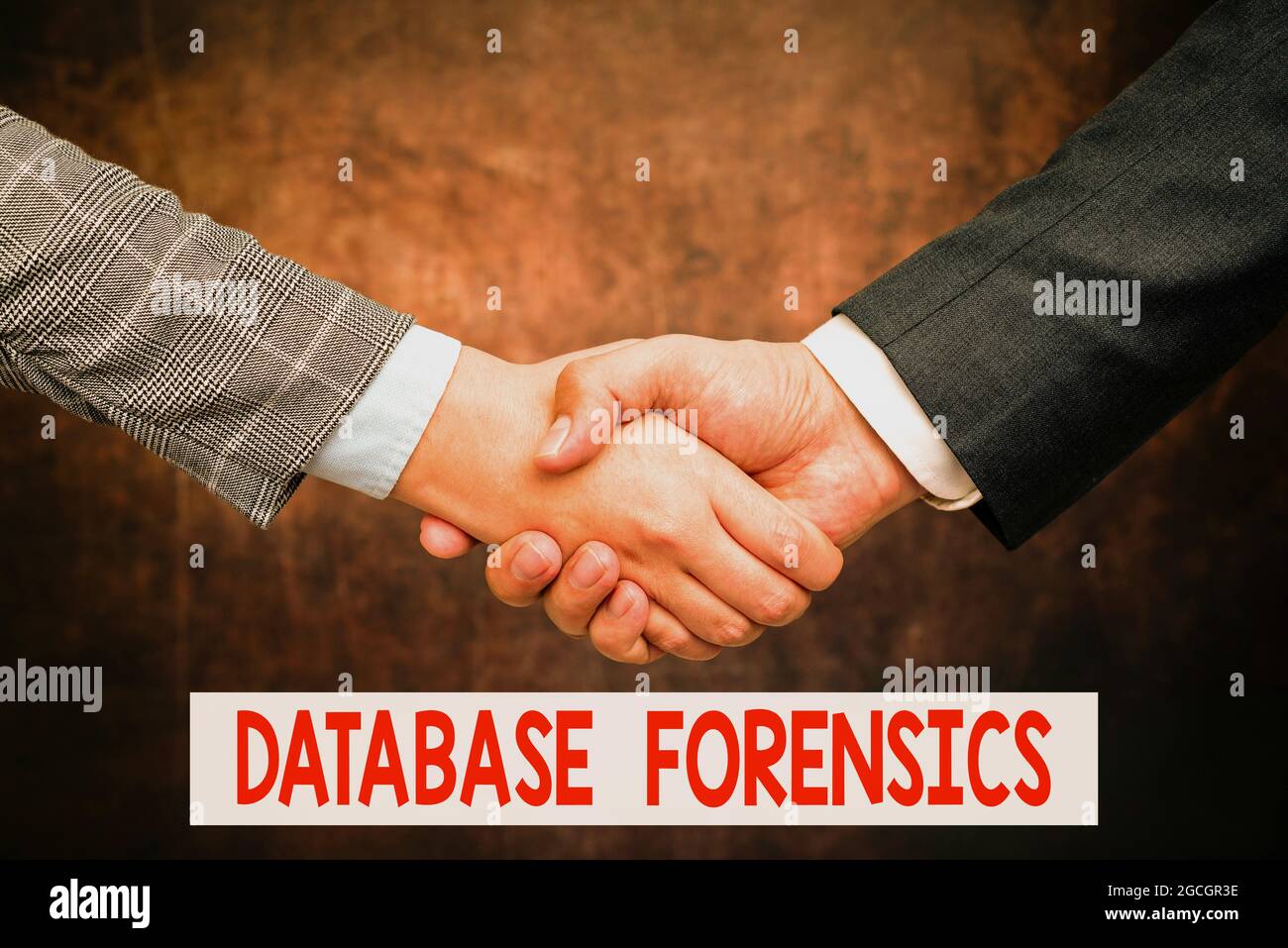 Conceptual Caption Database Forensics Business Approach Identifying Transactions Within A
