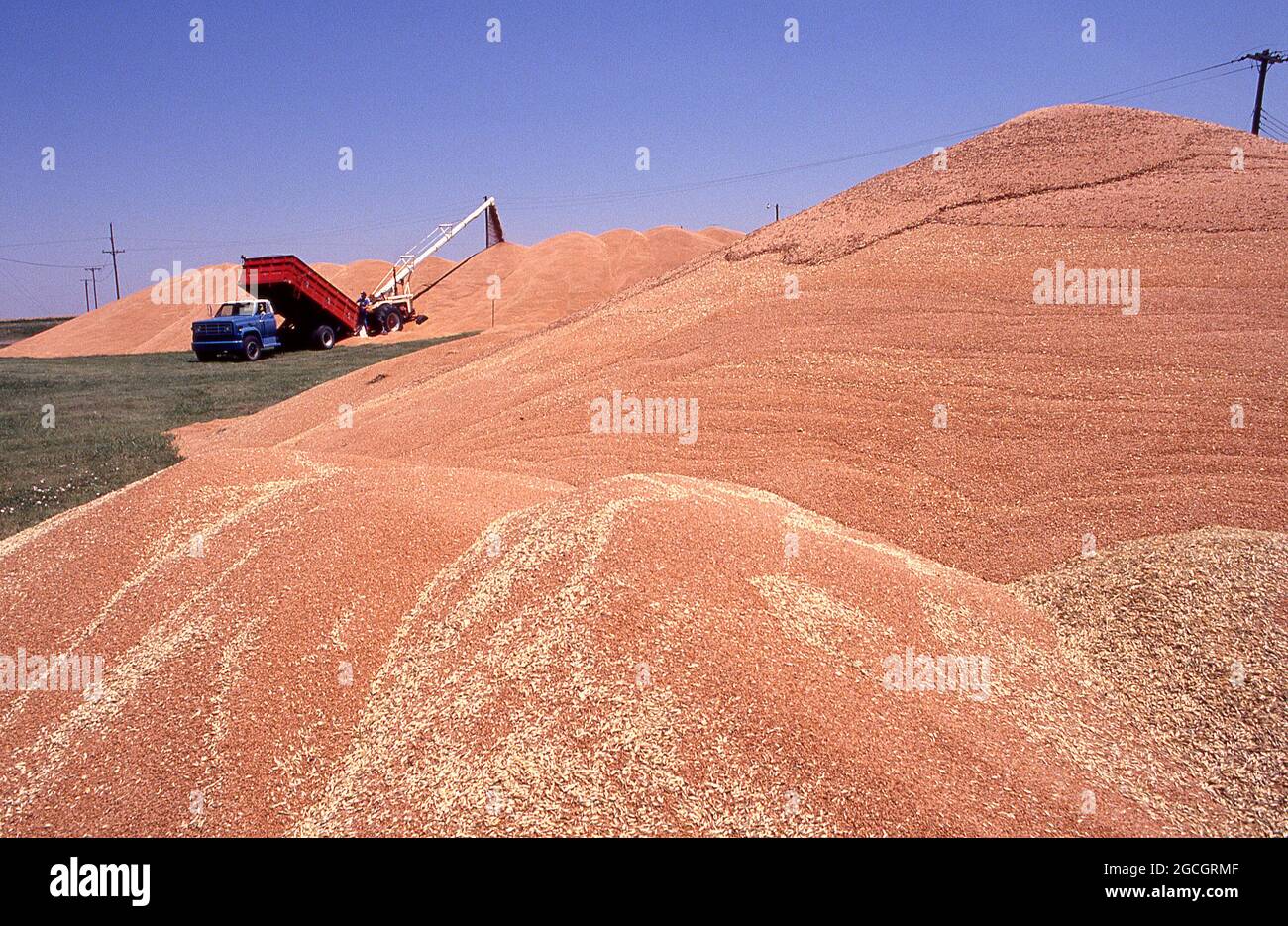 Truck unloading corn in Kansas, on June 30, 1990 Photograph ny Dennis ...