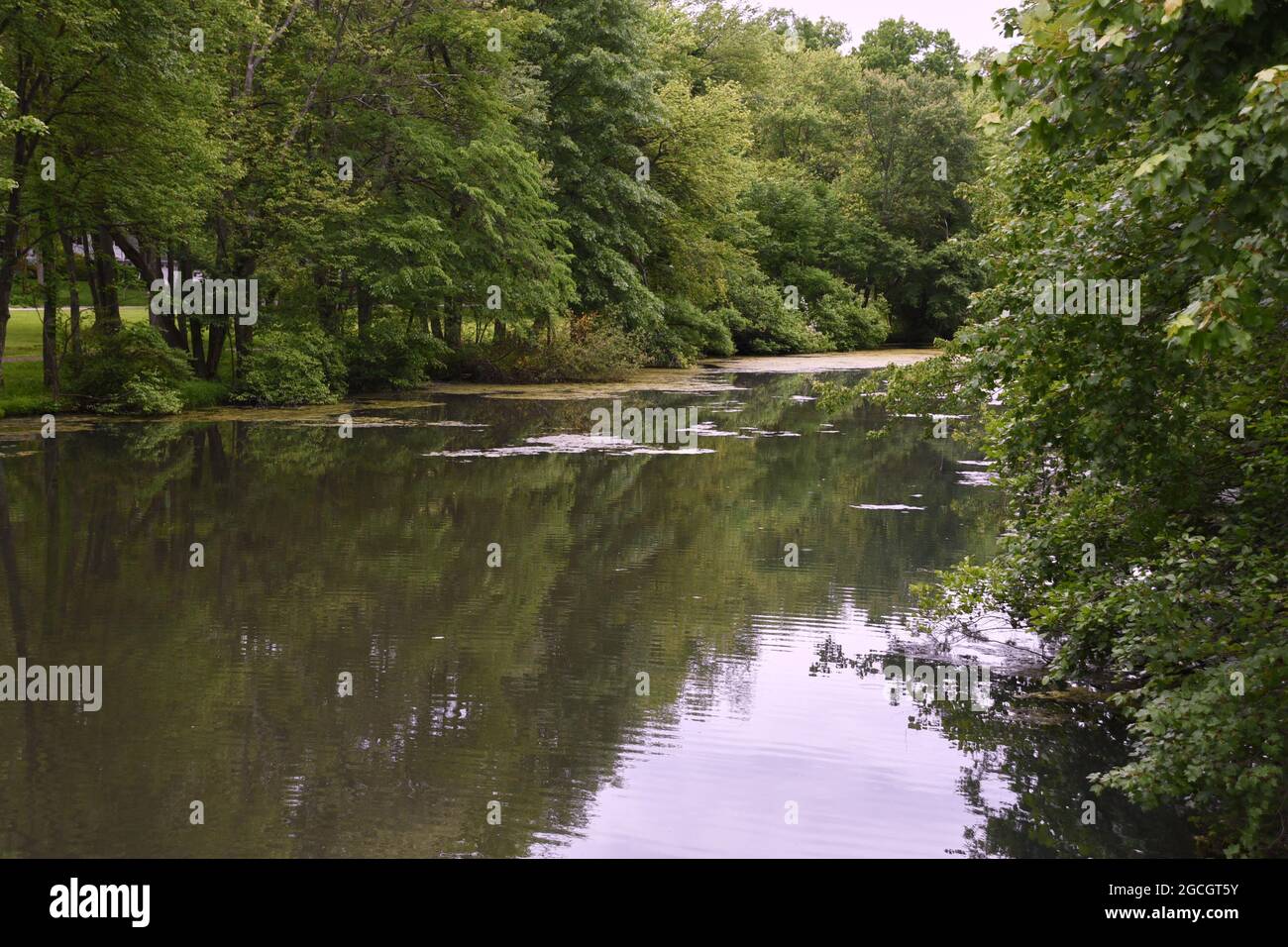 Packanack Lake River in Wayne New Jersey with Trees and Reflection ...