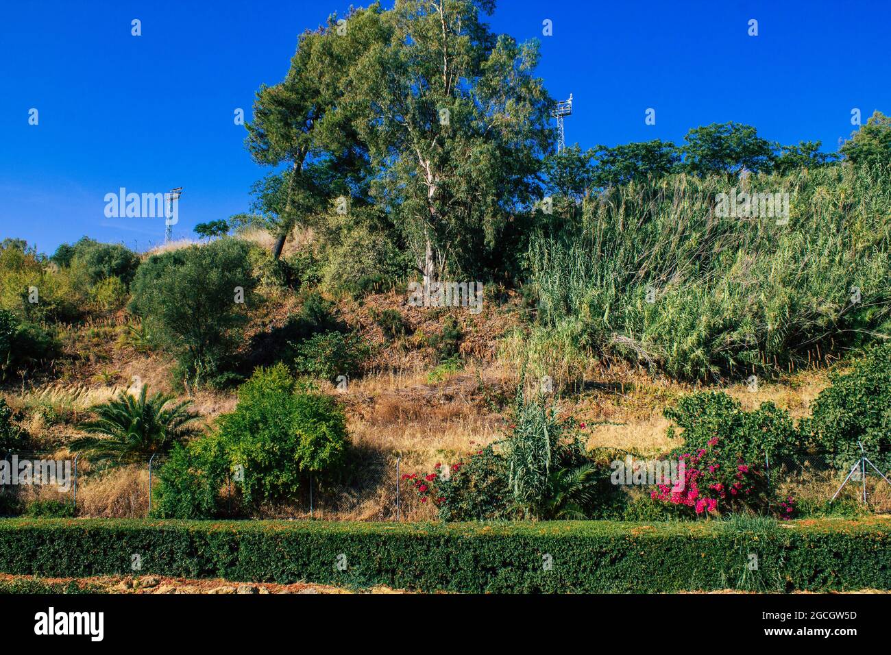 Carmona Spain August 03, 2021 Garden view of Anise Factory Los Hermanos ...