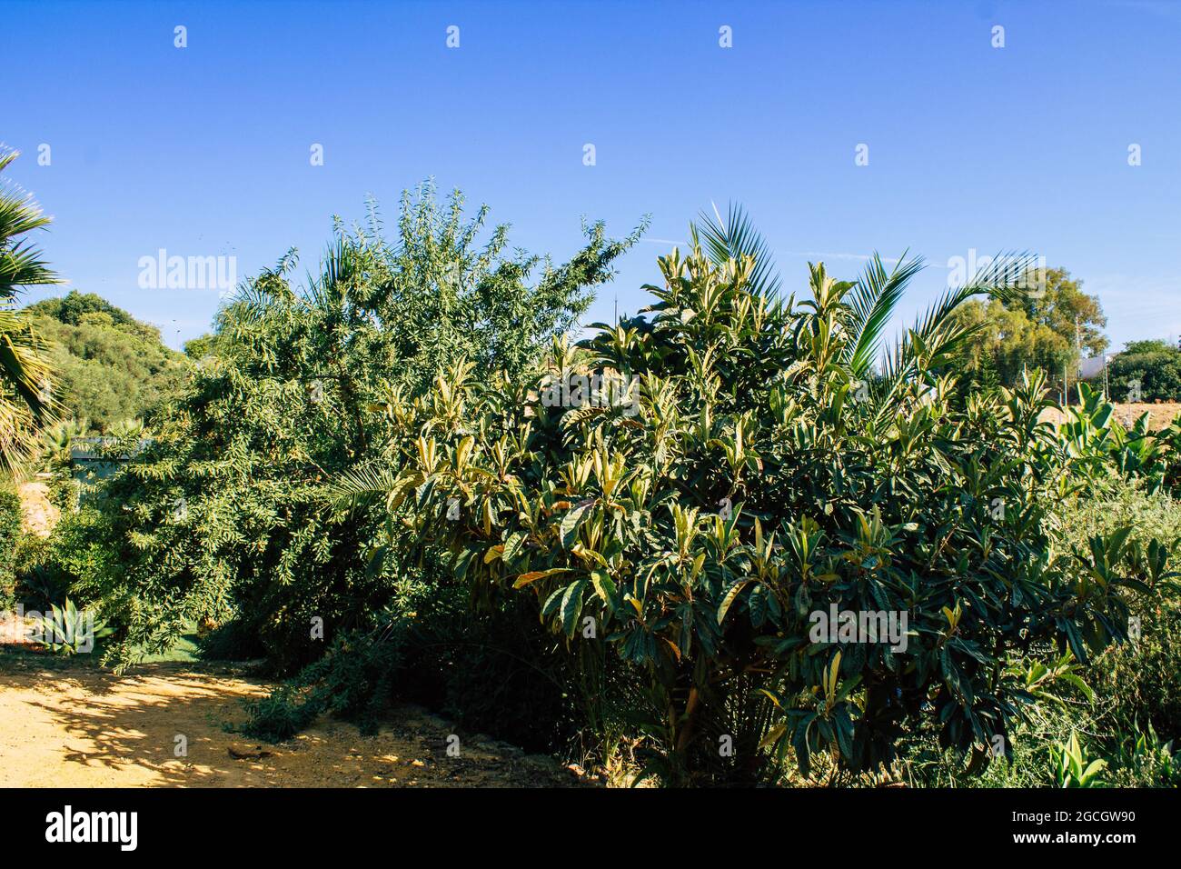 Carmona Spain August 03, 2021 Garden view of Anise Factory Los Hermanos ...