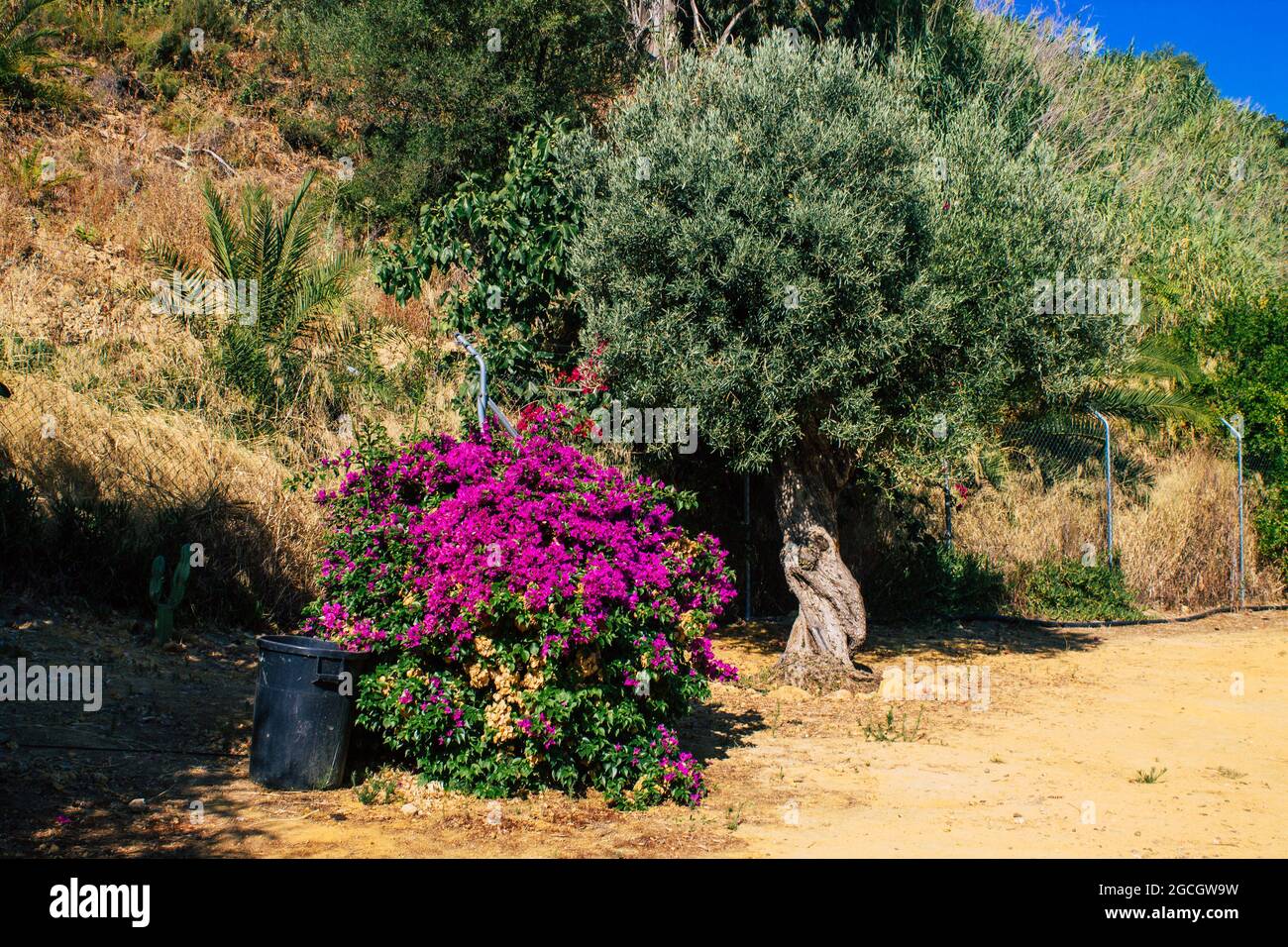 Carmona Spain August 03, 2021 Garden view of Anise Factory Los Hermanos ...