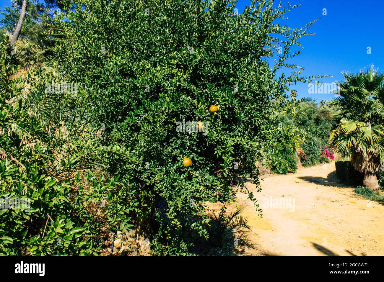 Carmona Spain August 03, 2021 Garden view of Anise Factory Los Hermanos ...