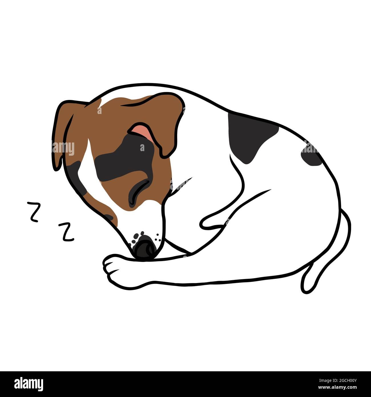 Jack Russell puppy dog sleeping cartoon vector illustration Stock ...