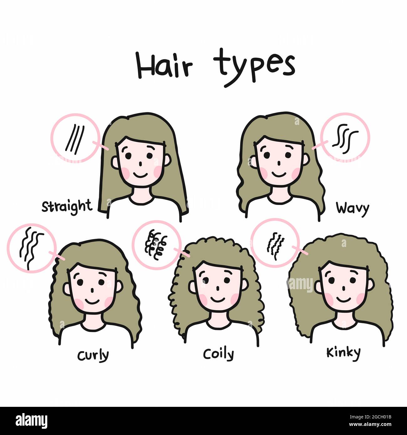 Woman hair types cartoon vector infographic illustration Stock Vector ...