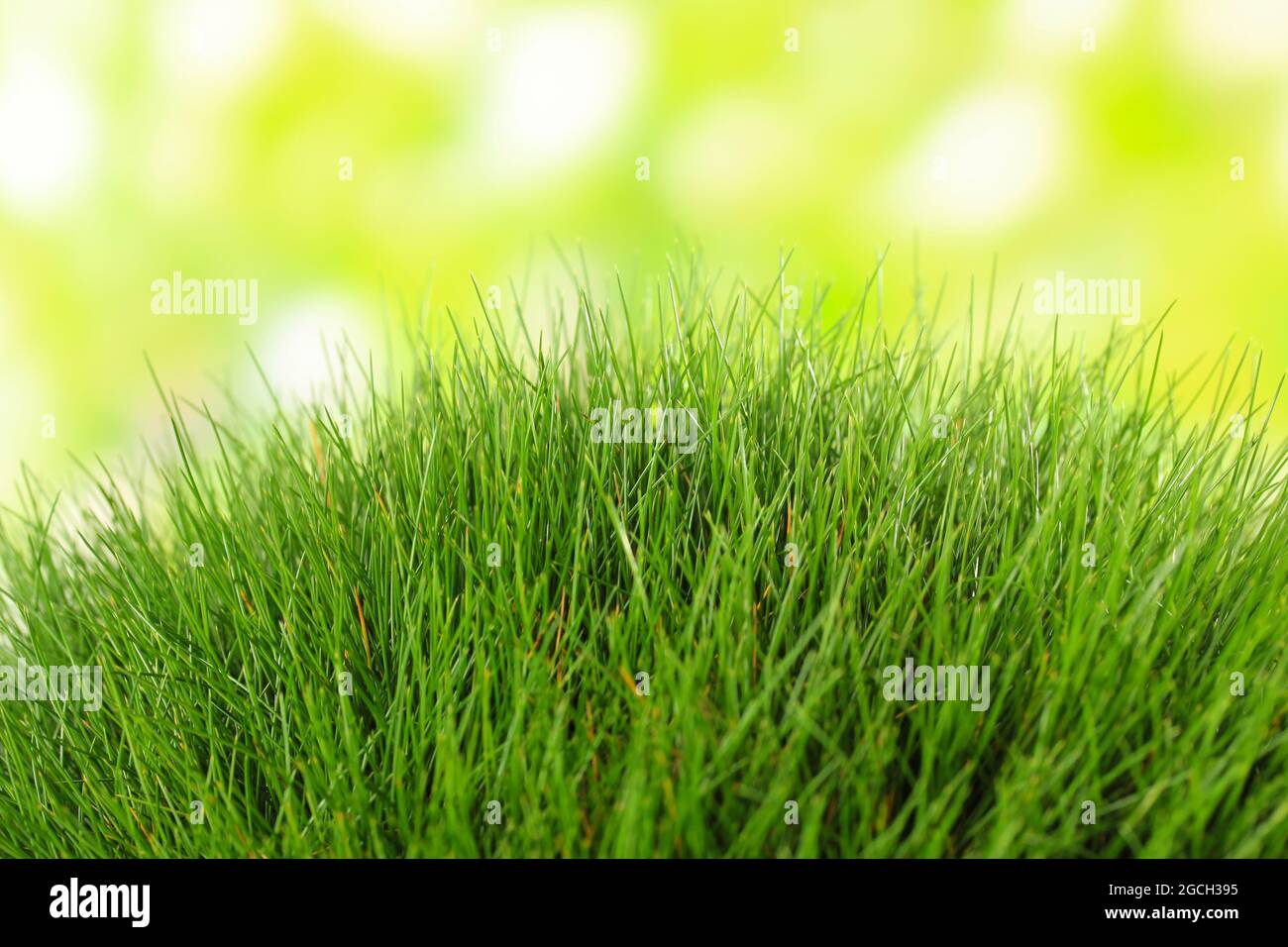 Beautiful green grass on nature background Stock Photo - Alamy