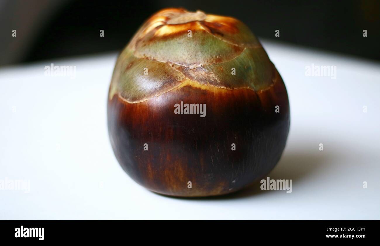 Borassus flabellifer or palmyra fruit on white background Stock Photo ...