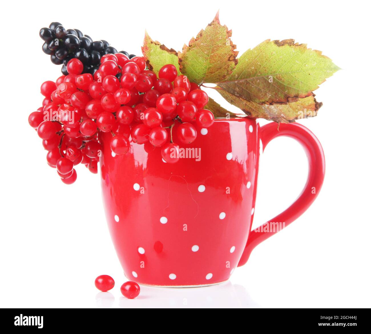 Red and black berries in cup, isolated on white Stock Photo - Alamy
