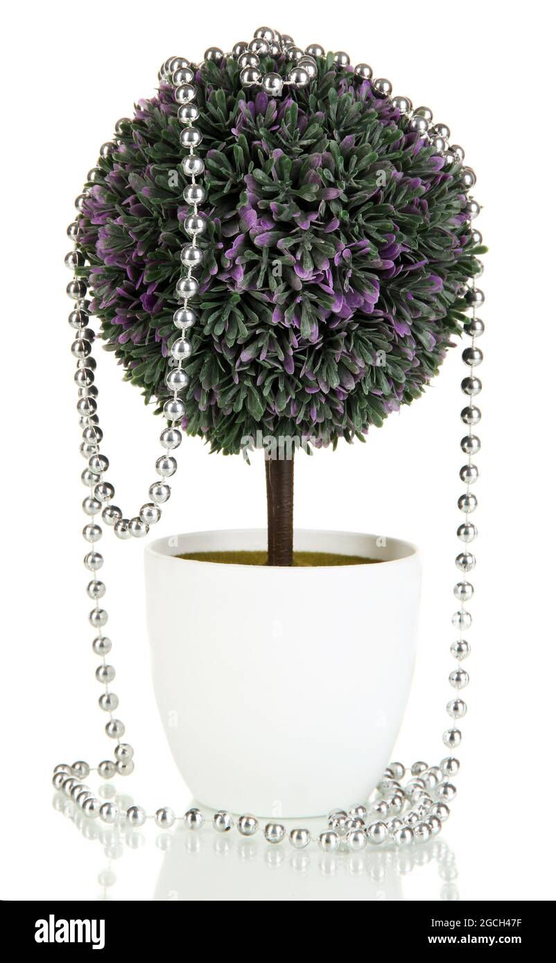 Decorative tree in pot isolated on white Stock Photo - Alamy
