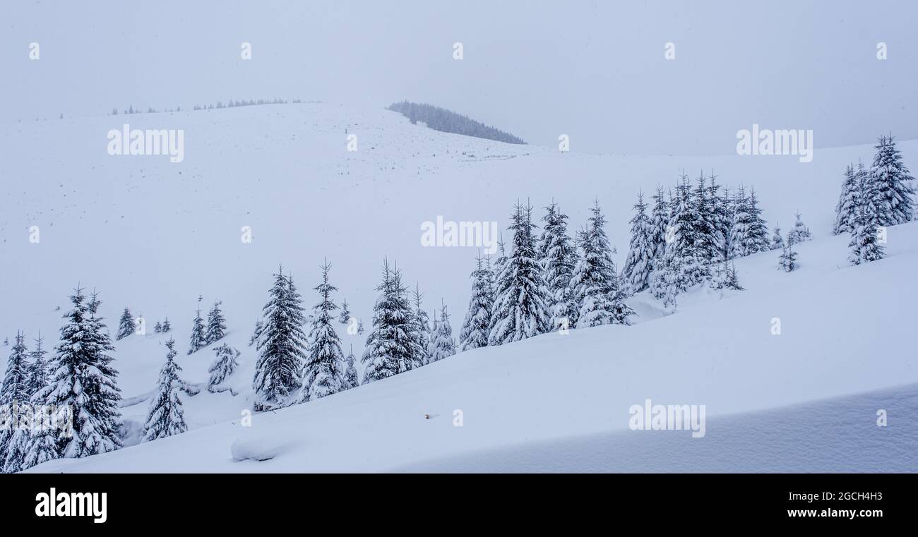 Snowflakes falling over christmas hi-res stock photography and images ...