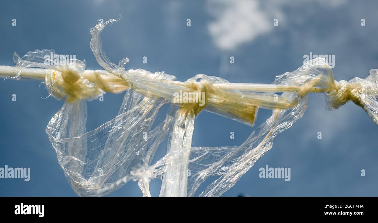 Twisted plastic bag on blue sky Stock Photo - Alamy