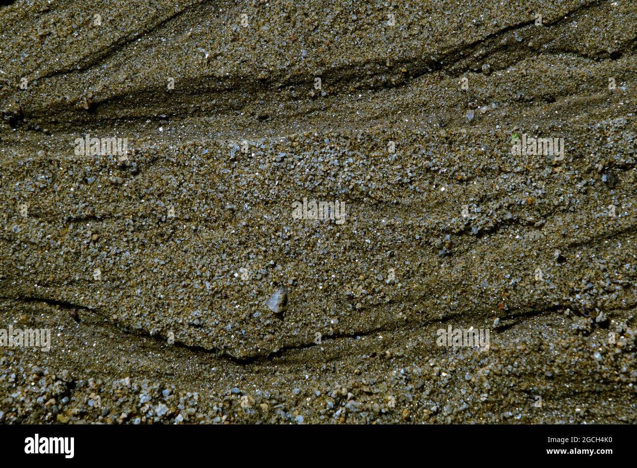 sand texture on the beach Stock Photo - Alamy