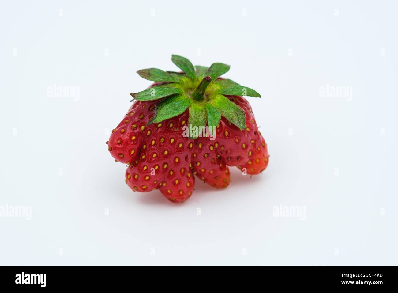 strangely shaped strawberries on a white background Stock Photo - Alamy