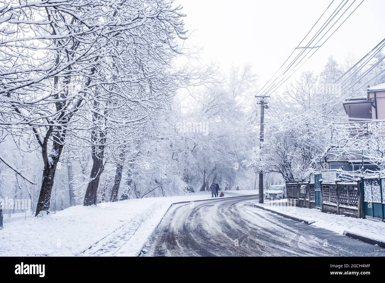 winter time in park from Sibiu city, Romania Stock Photo - Alamy