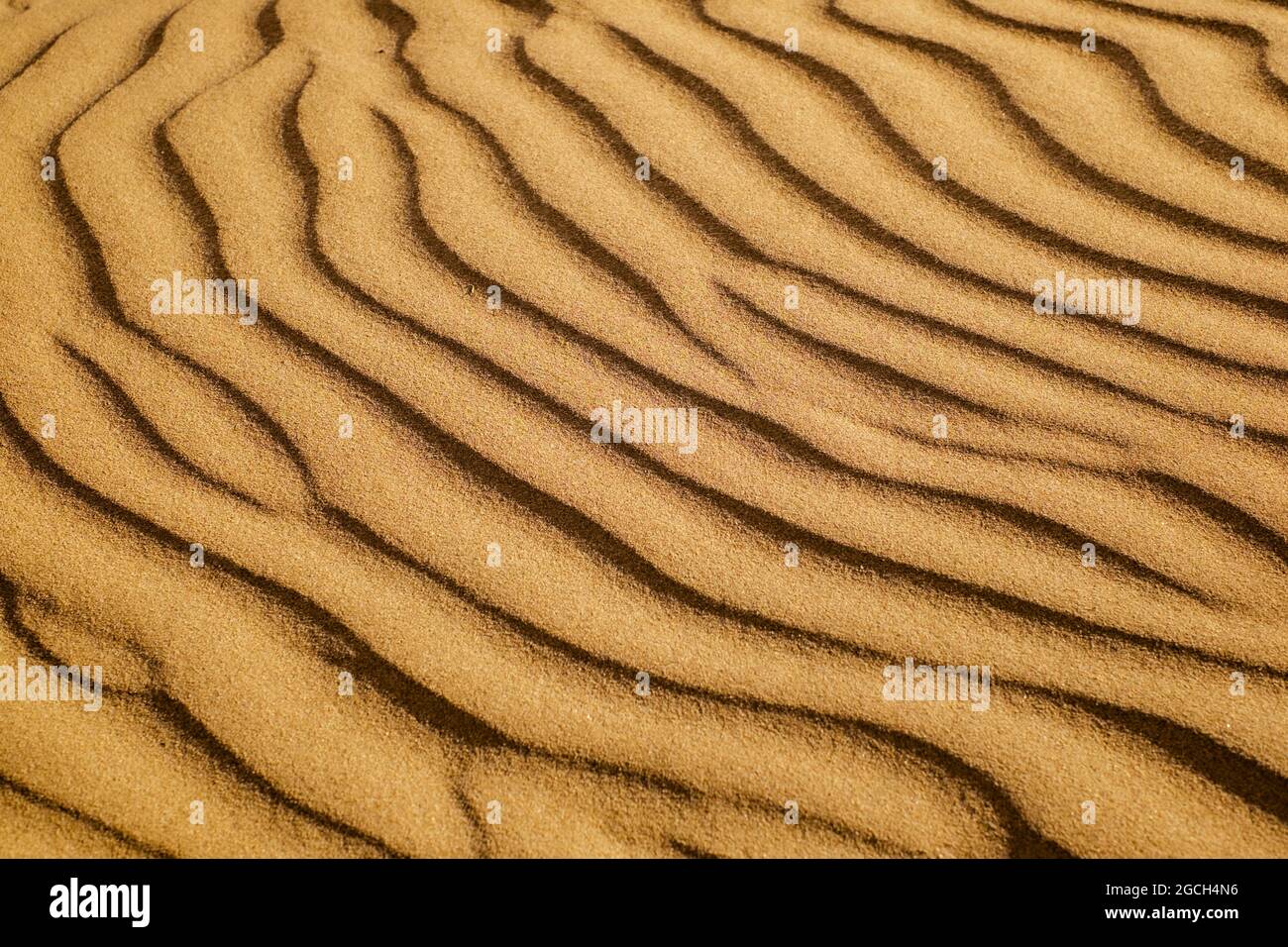 Background texture of desert sand Stock Photo - Alamy