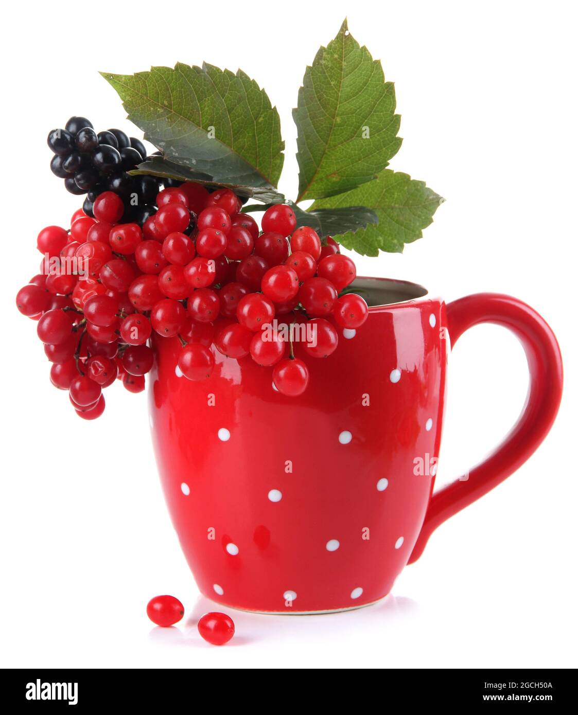Red and black berries in cup, isolated on white Stock Photo - Alamy