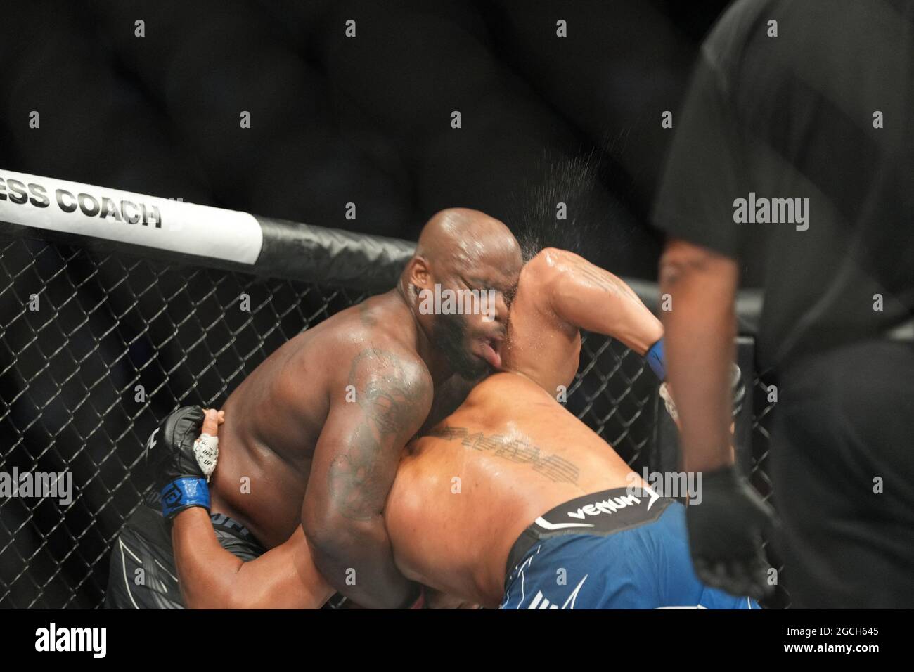 Ufc professional fighter hi-res stock photography and images - Alamy