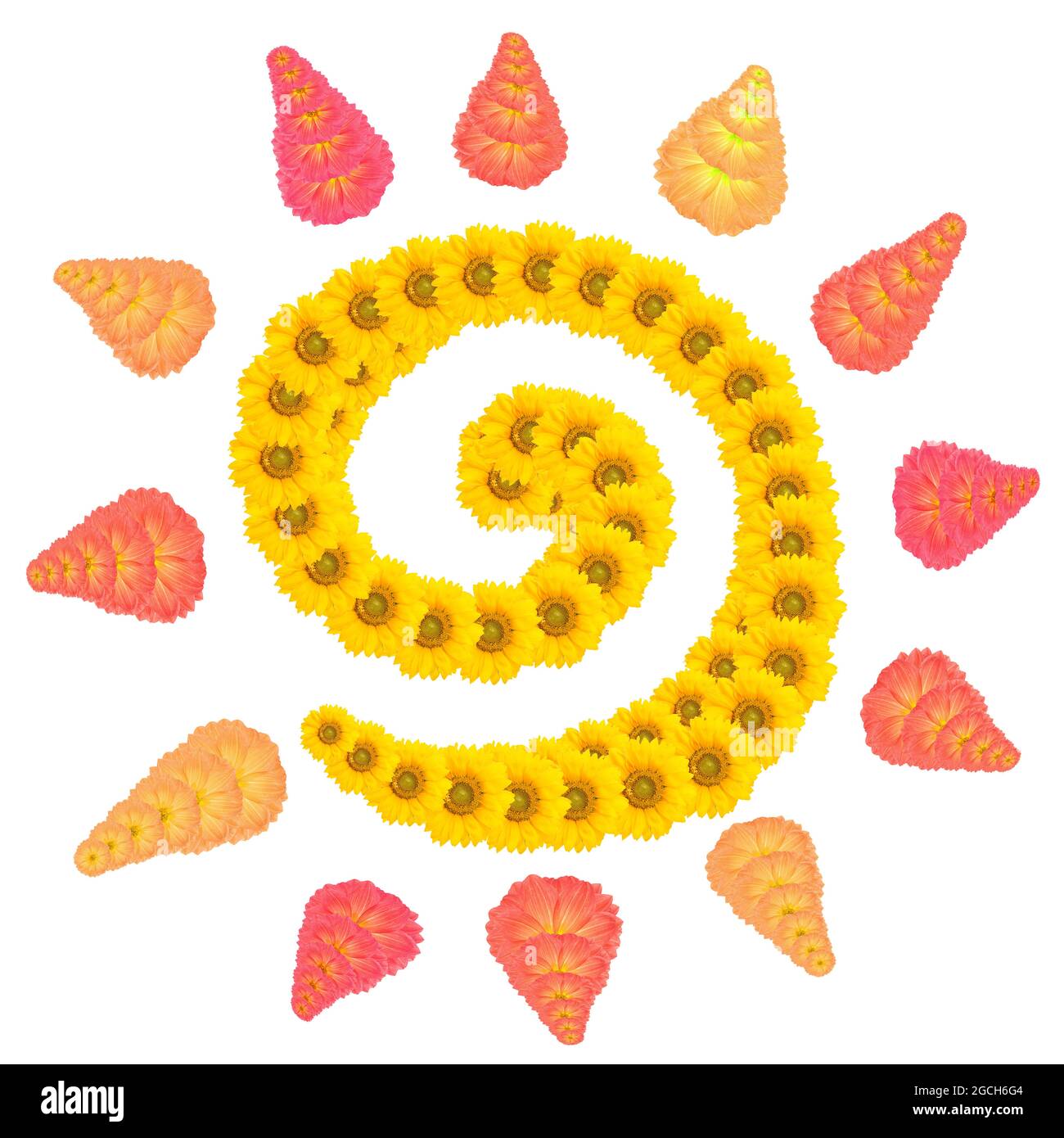 Native old Sun symbol made of flowers. Isolated HANDMADE photo collage ...