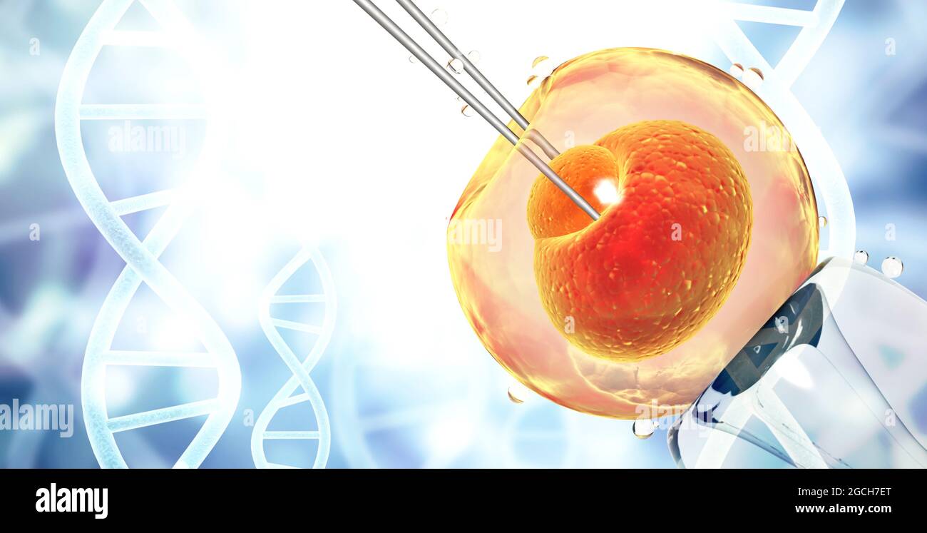 Genetic engineering, GMO and gene manipulation concept. Hi Tech ...