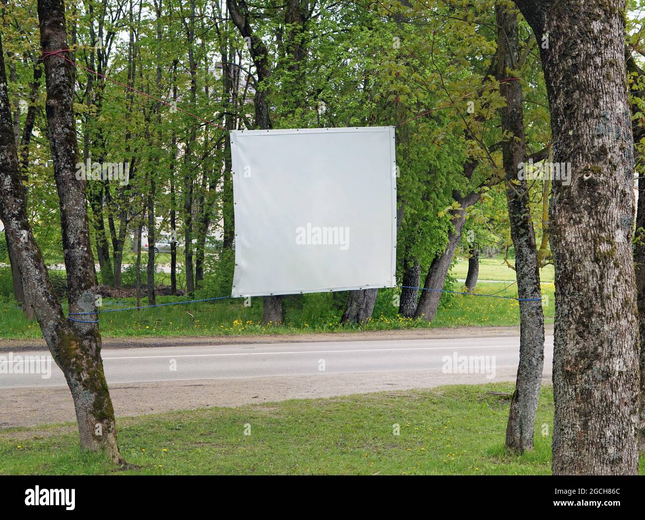White canvas banner stretched on ropes between trees Stock Photo - Alamy