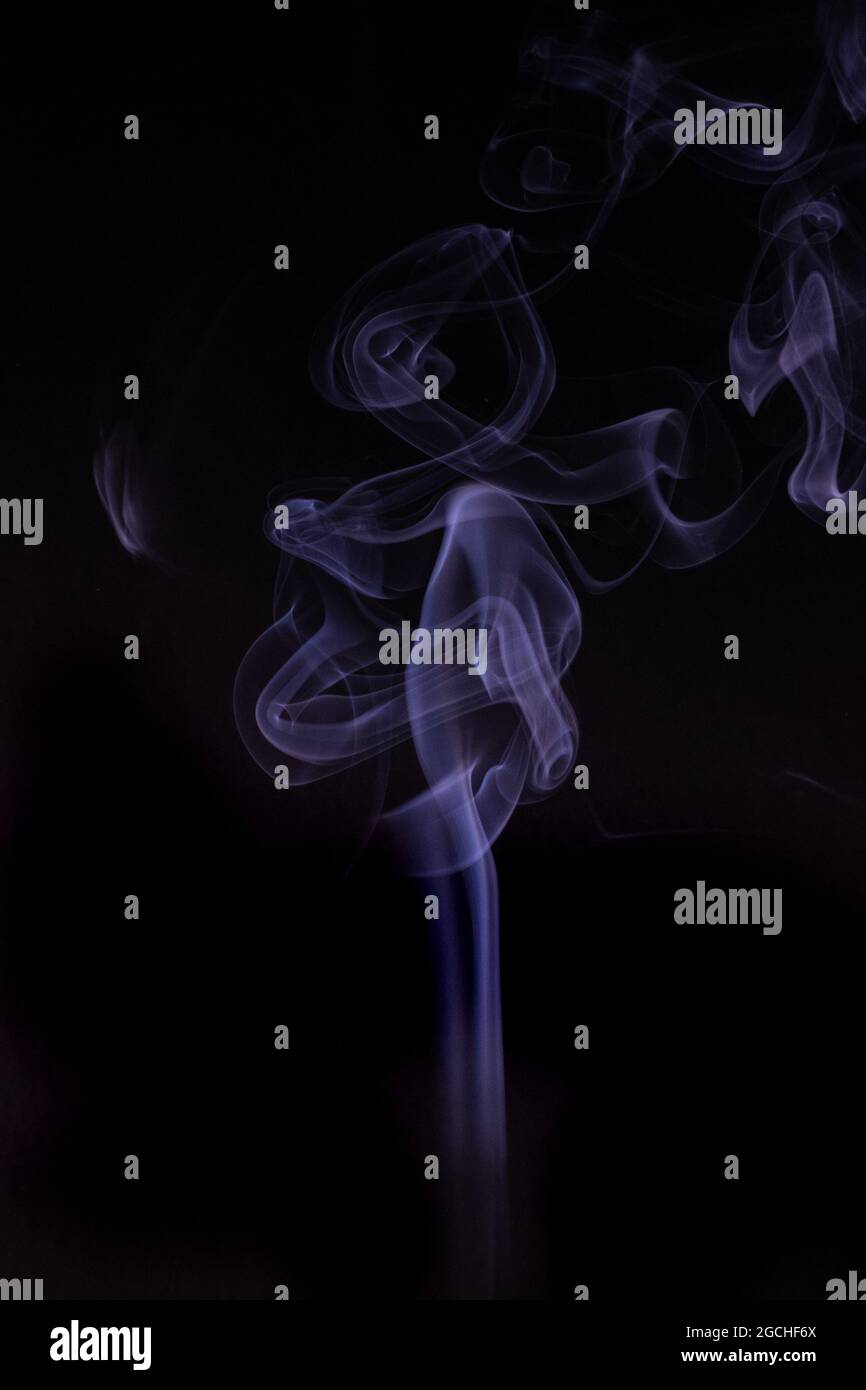 Closeup of an abstract purple smoke on a black background Stock Photo ...