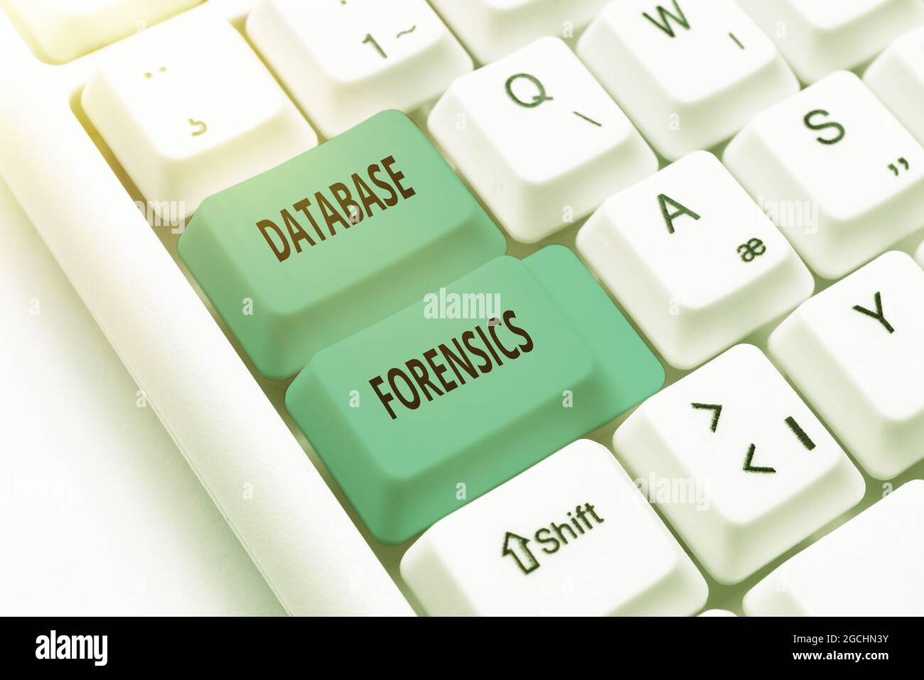 Text Sign Showing Database Forensics Business Concept Identifying Transactions Within A