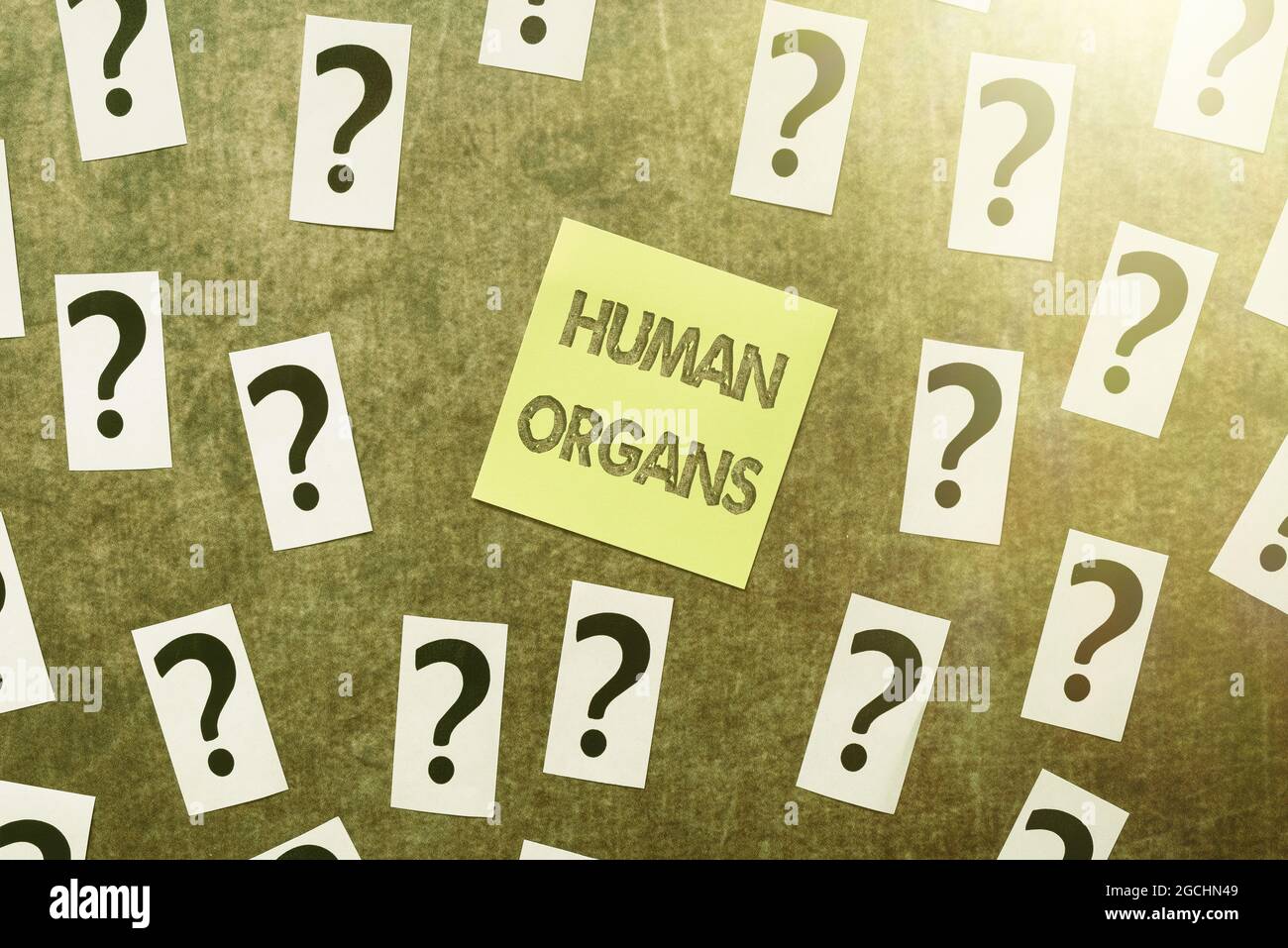 Text showing inspiration Human Organs. Business showcase The internal ...