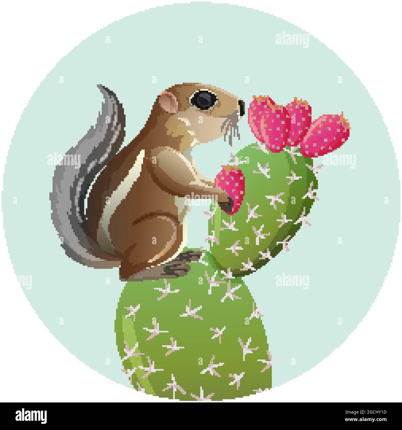 Antelope squirrel standing prickly cactus isolated on white background illustration Stock Vector ...