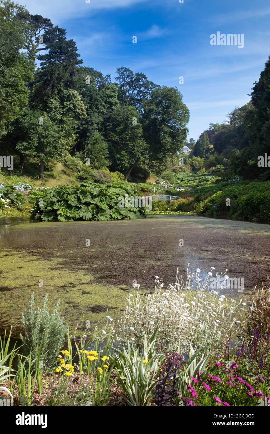 A spectacular view from below the Mallard Pond in the stunning sub ...