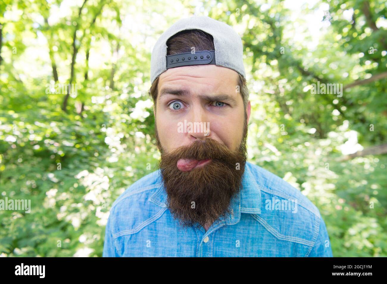 confused man showing tongue. funny bearded man closeup portrait. mature ...