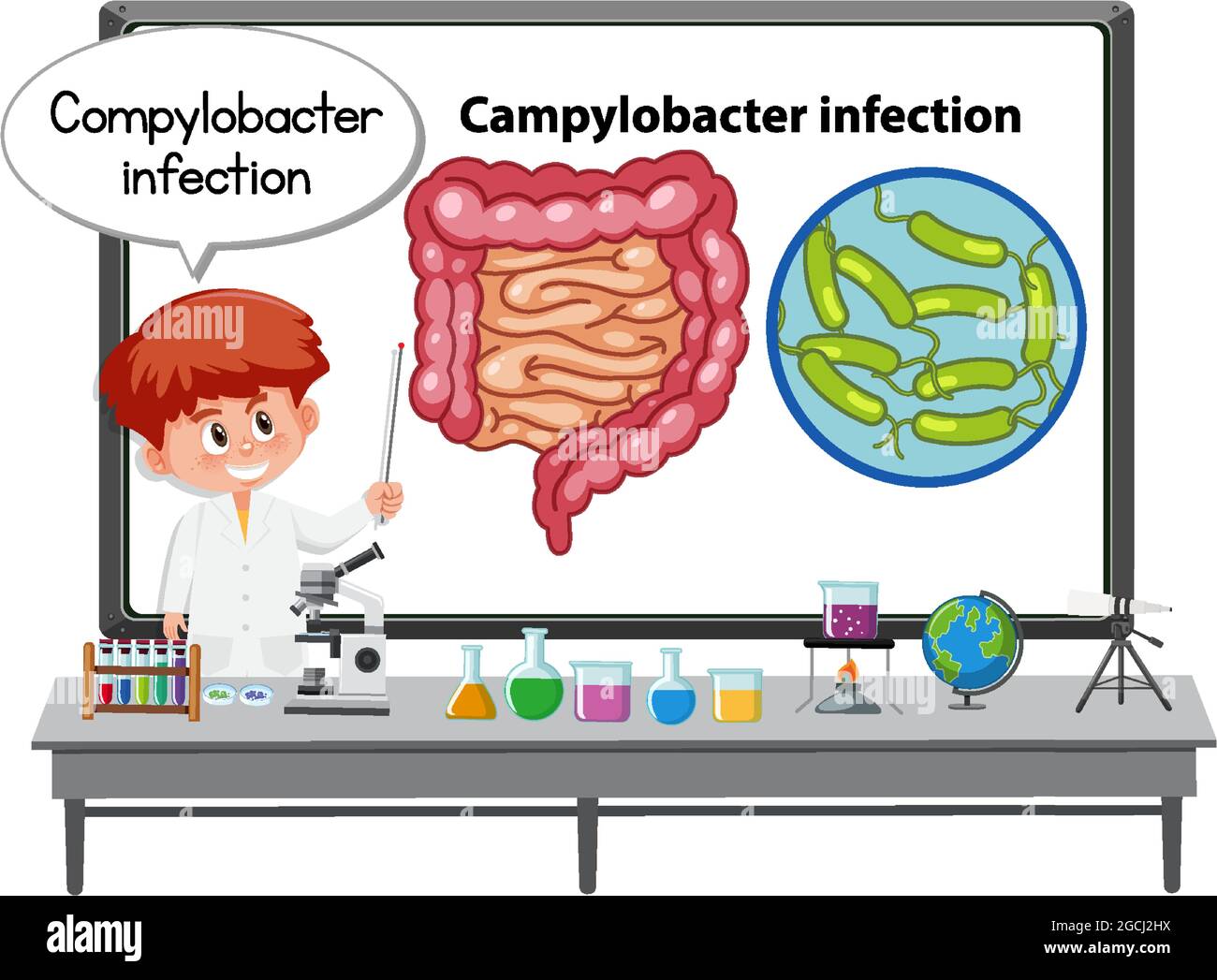 Young doctor explaining Campylobacter infection illustration Stock ...