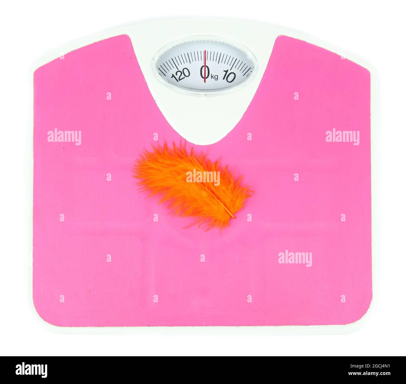 Feather on scales isolated on white Stock Photo - Alamy