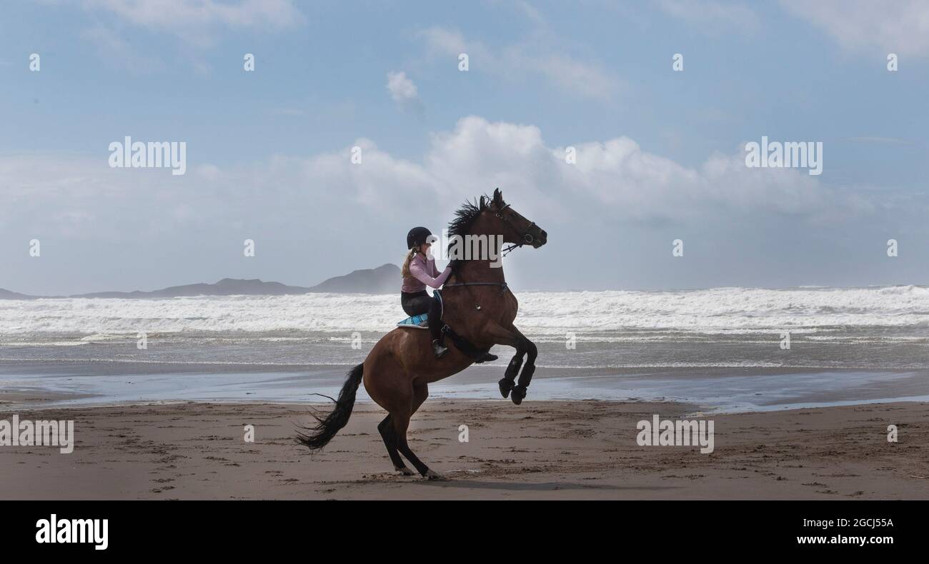 Women ride horse on Rhossilli Bay beach in West Wales, UK with the haze ...