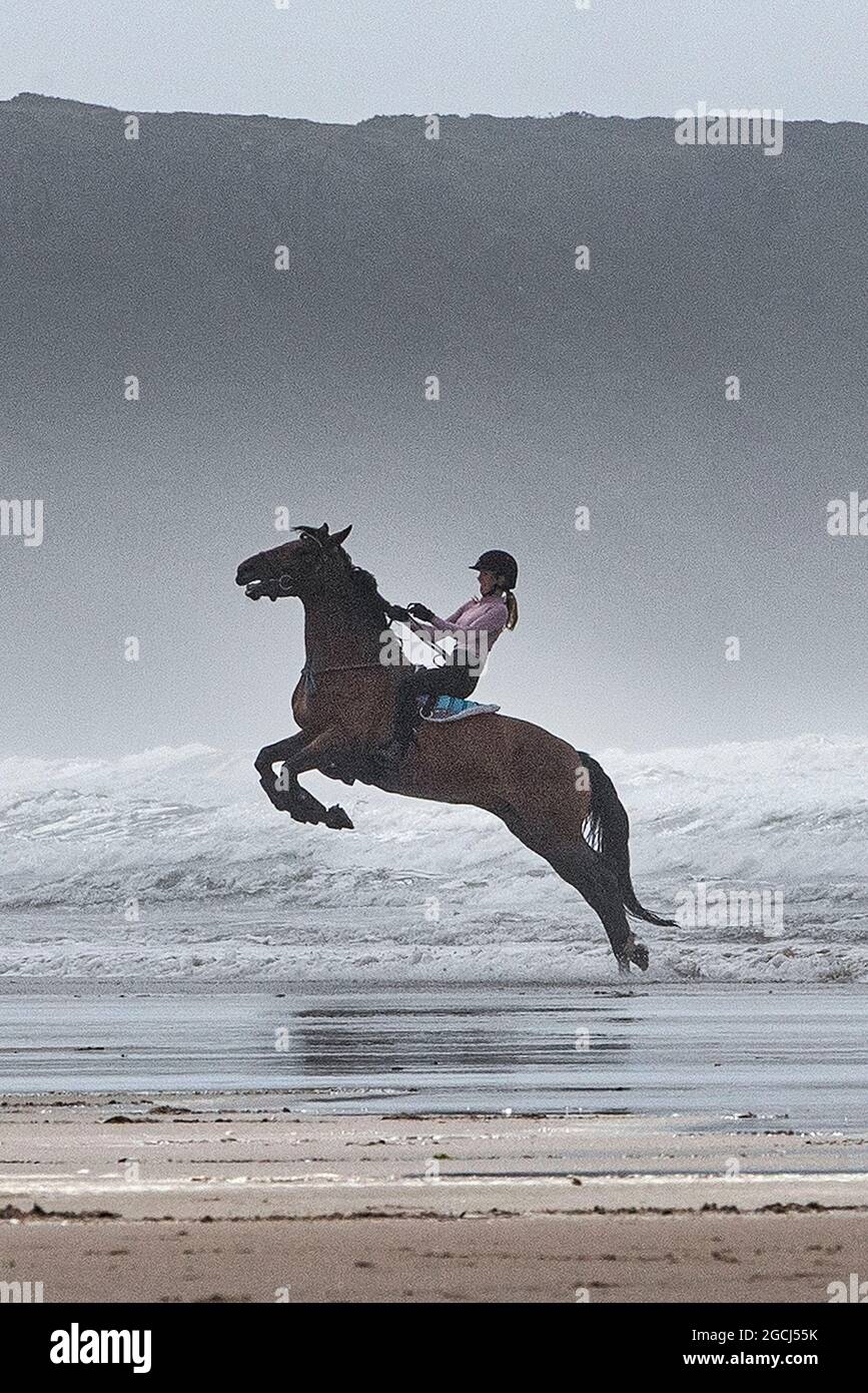 Women ride horse on Rhossilli Bay beach in West Wales, UK with the haze ...