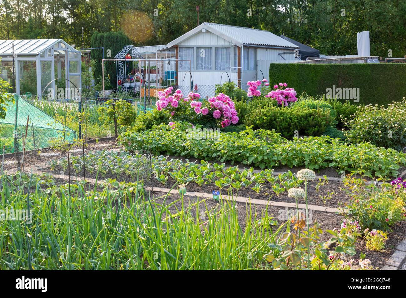 Typical German allotment garden (Schrebergarten Stock Photo - Alamy