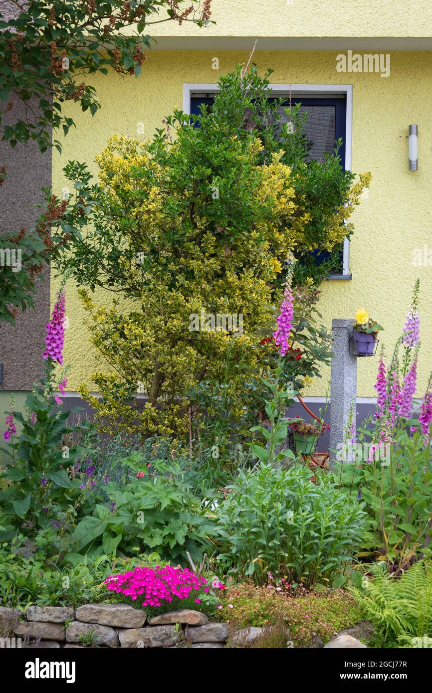 German yards hi-res stock photography and images - Alamy