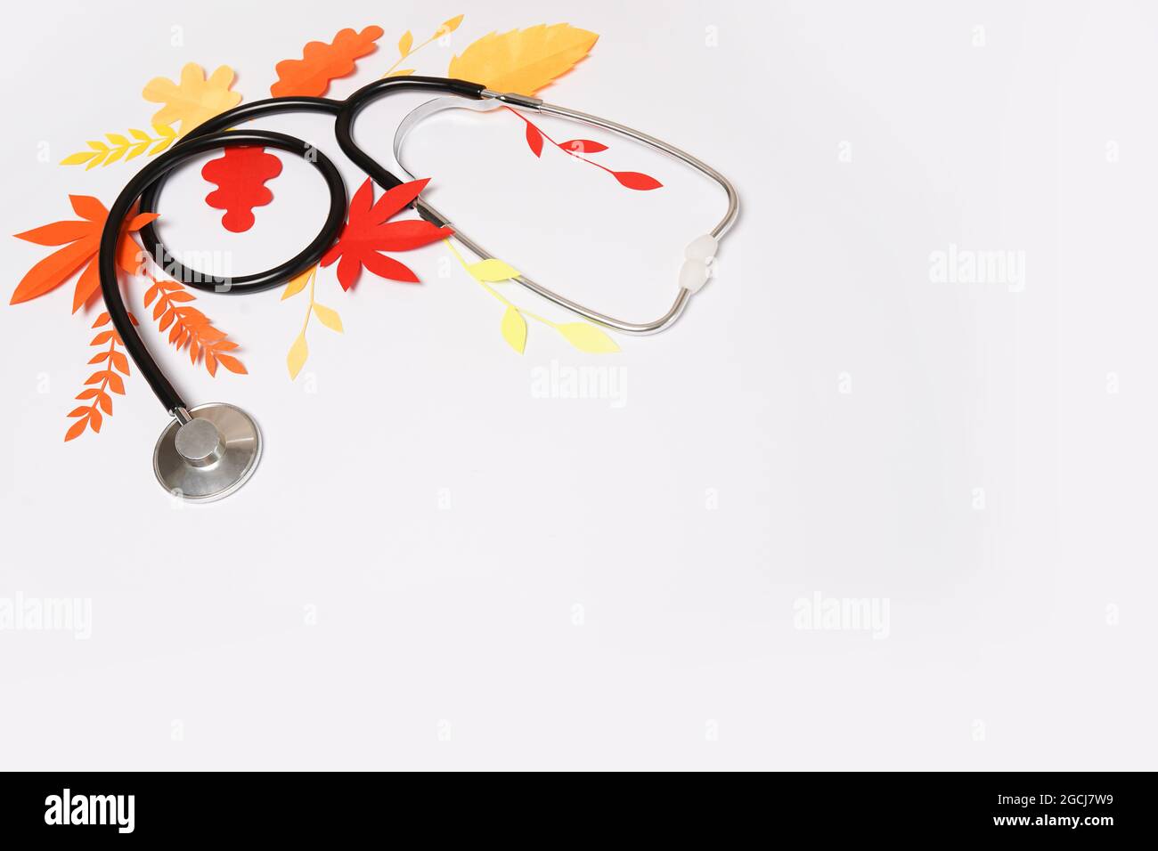 stethoscope with red and yellow autumn paper leaves on light background ...