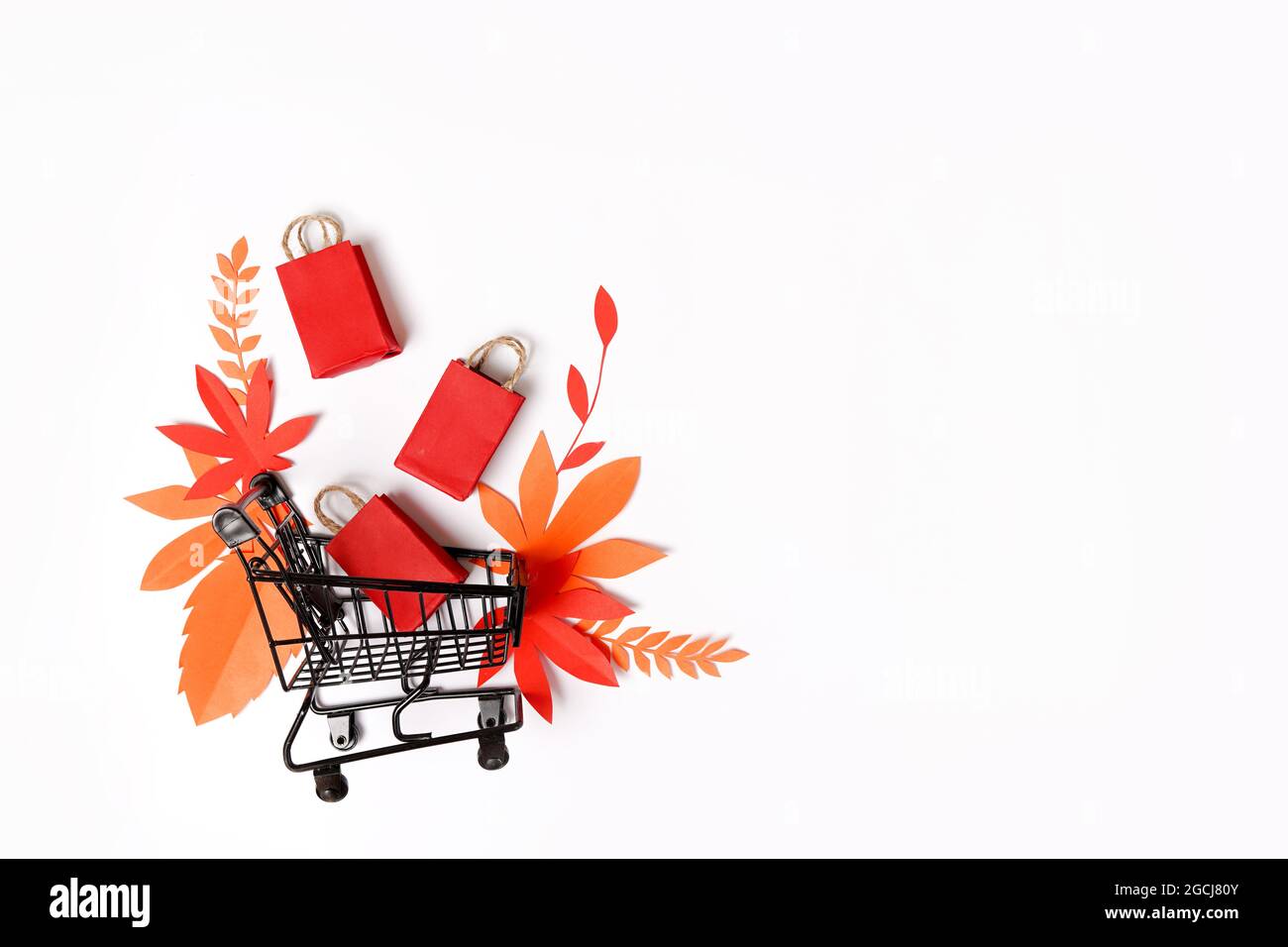 Fall leaves and paper bags in grocery trolley on white background ...